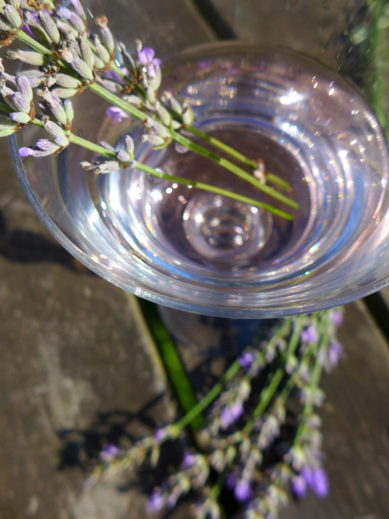 Brecon Beacons Foraging – If you’d like to book a course, buy a gift ...